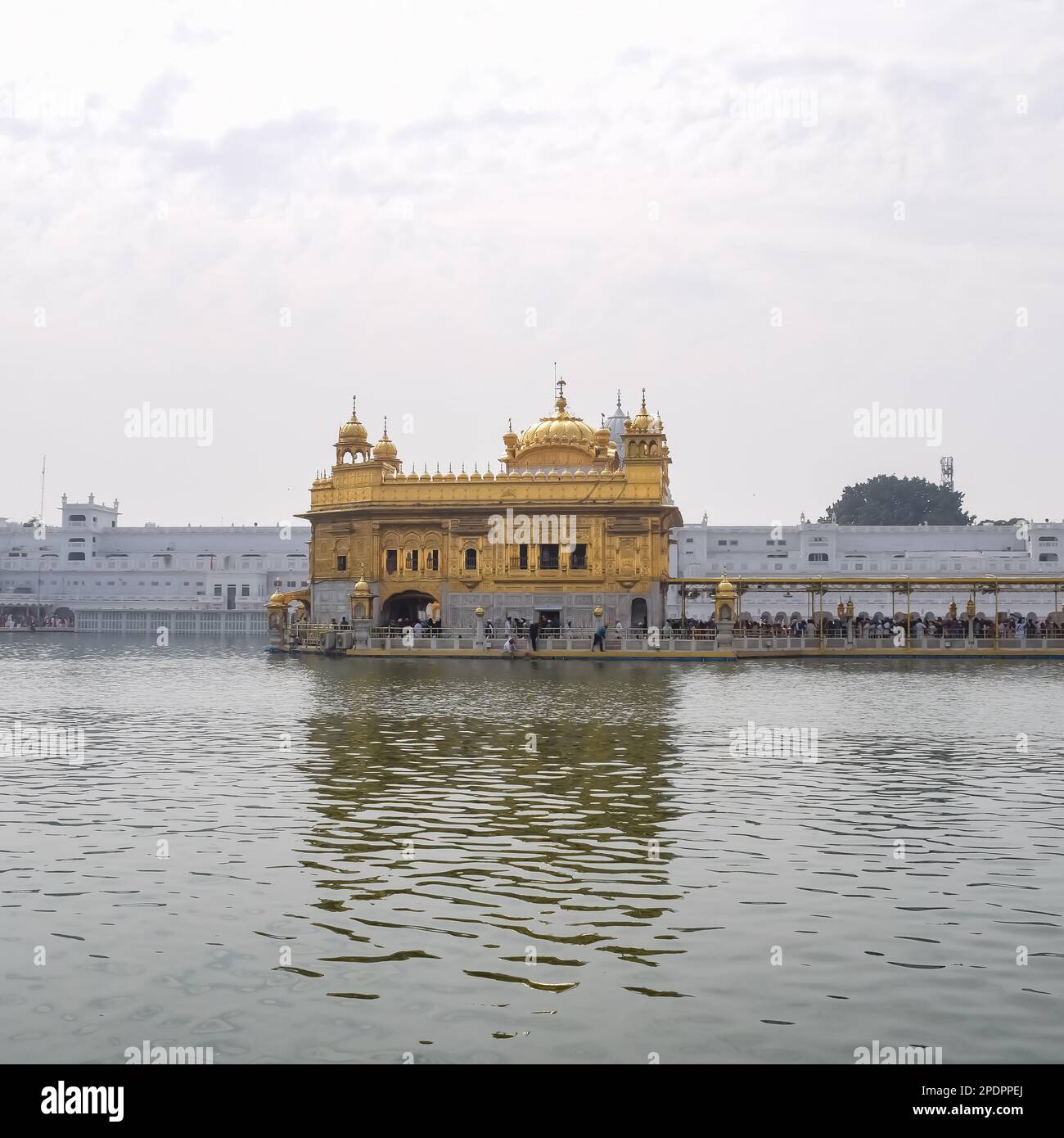 Beautiful view of Golden Temple (Harmandir Sahib) in Amritsar, Punjab ...