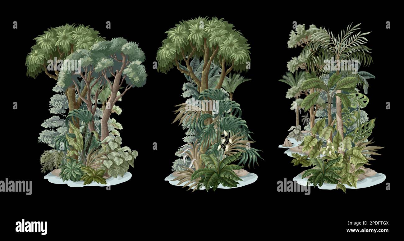 Jungle trees and plants isolated. Vector Stock Vector Image & Art - Alamy