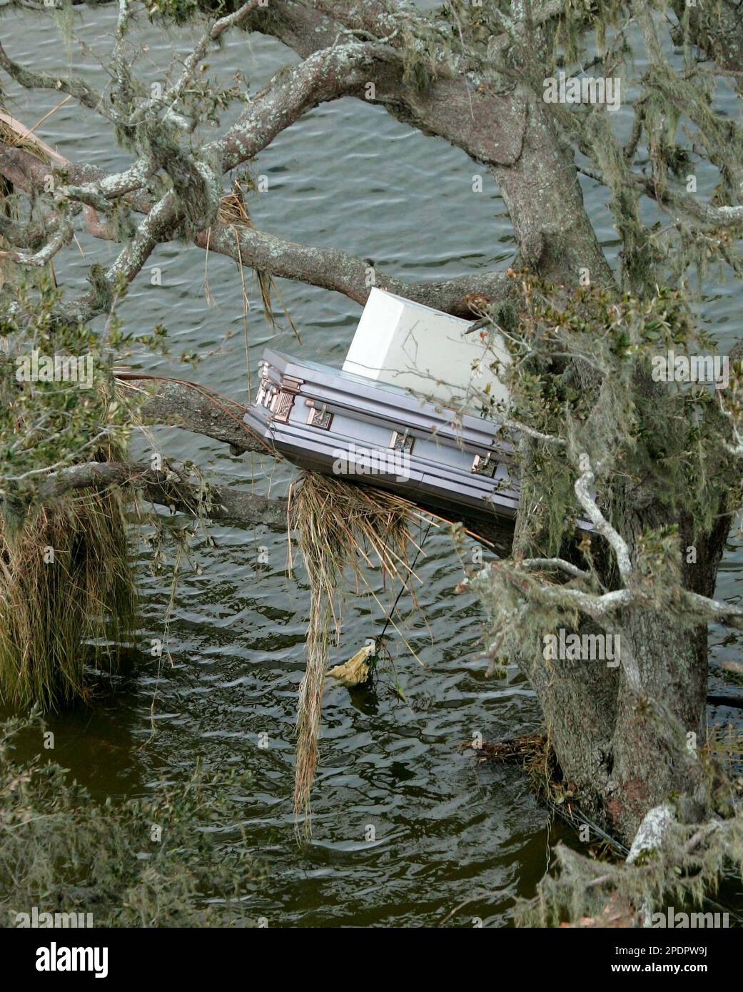 A casket is stuck in a tree surrounded by floodwaters in the aftermath ...