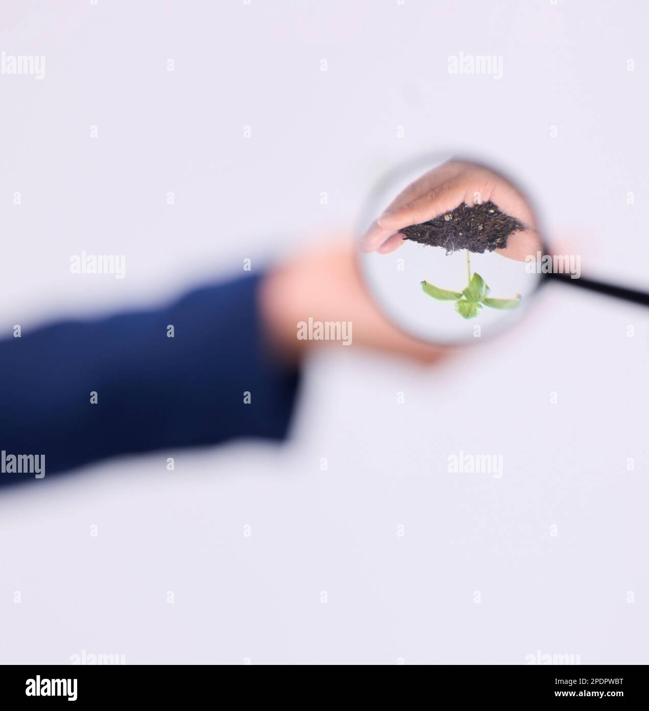 Magnifier and focus on sustainability with magnifying glass in search ...