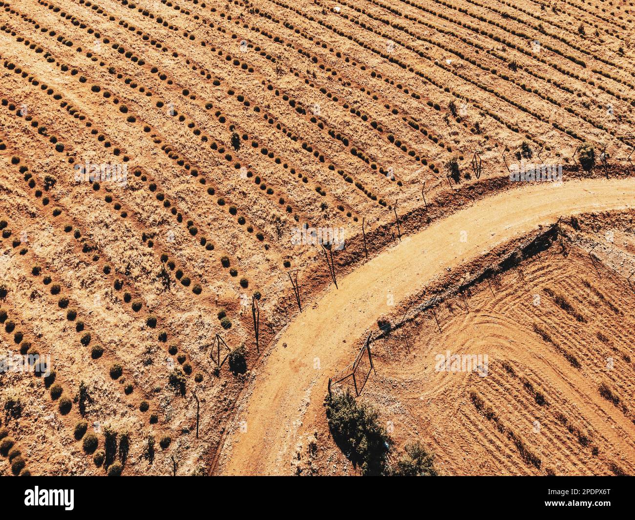 Aerial view of agricultural plantations. Drought and arid climate Stock ...