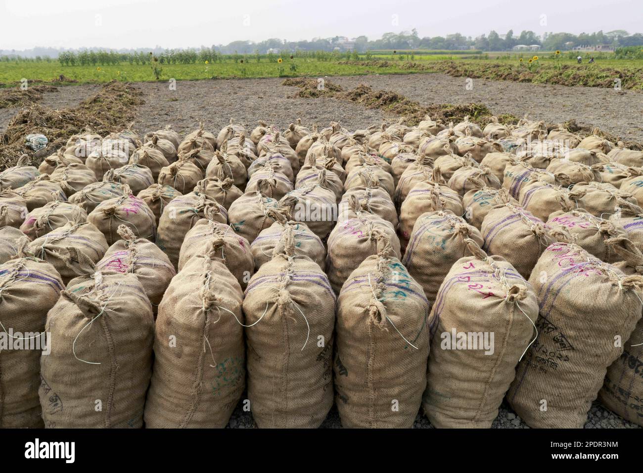 Munshiganj, Bangladesh. 14th Mar, 2023. Bangladeshi people collect ...