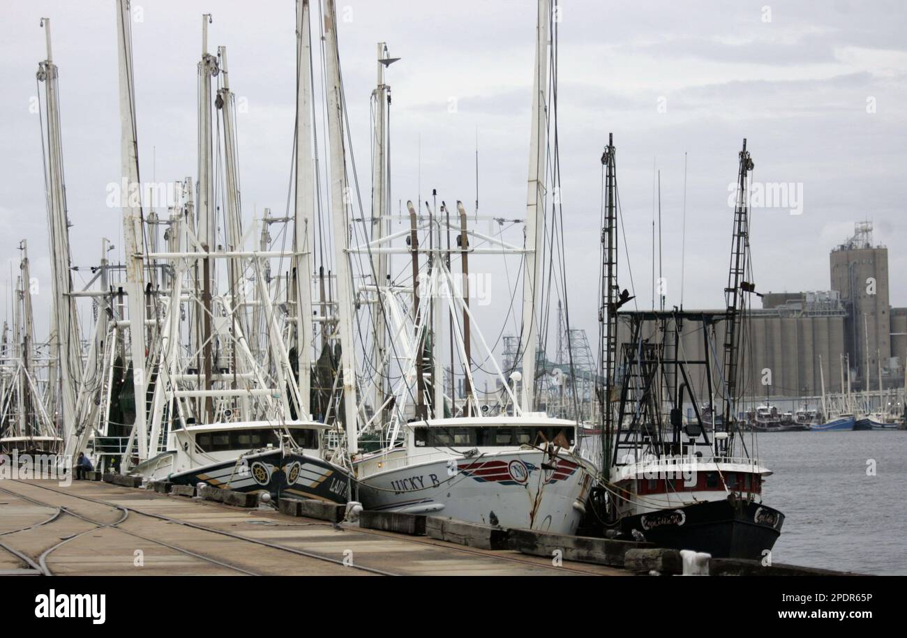 Shrimp boats are docked at the Port of Beaumont Friday, Sept. 23, 2005 ...