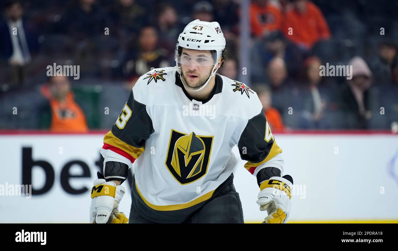 Vegas Golden Knights' Paul Cotter plays during an NHL hockey game ...