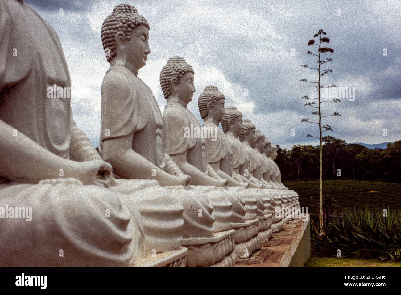 Big buda hi-res stock photography and images - Alamy