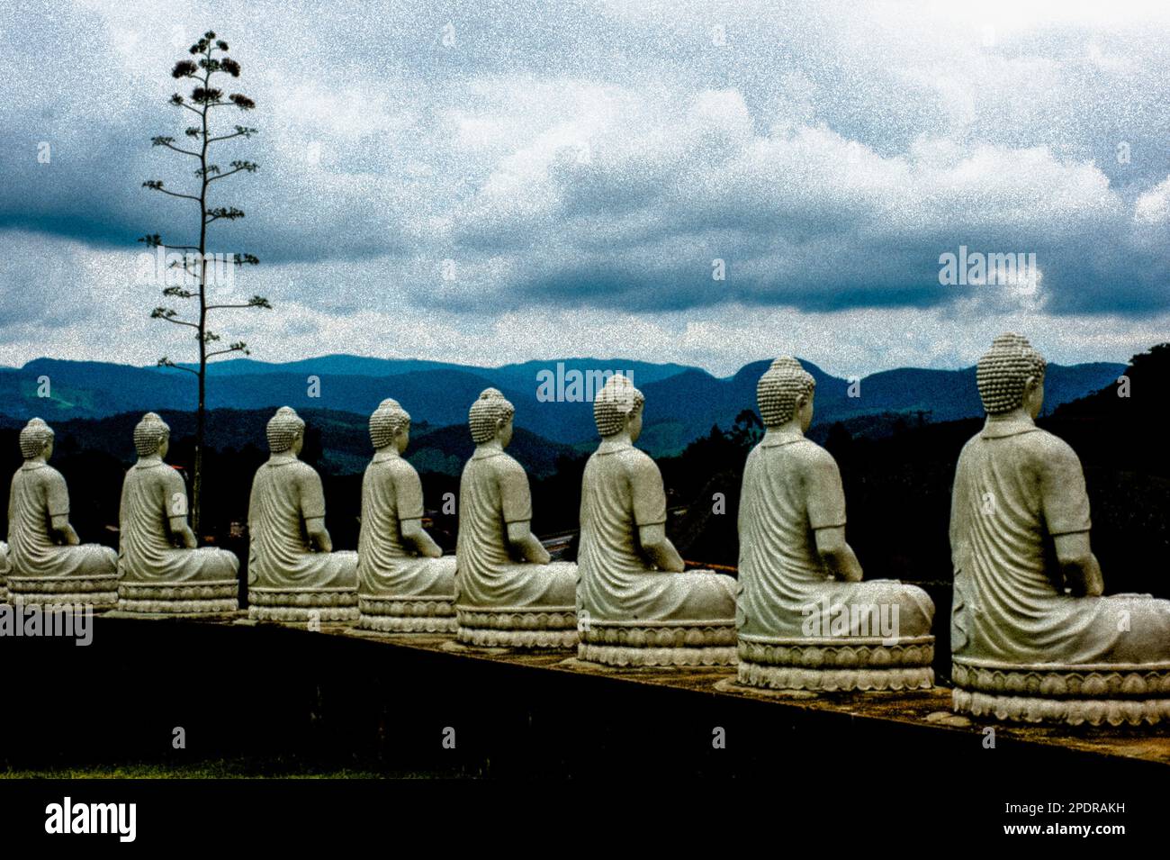Big buda hi-res stock photography and images - Alamy