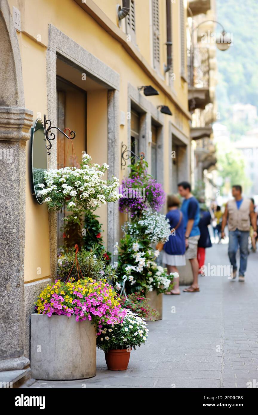Variuos flowers blossoming in flower pots on old cobblestone street ...