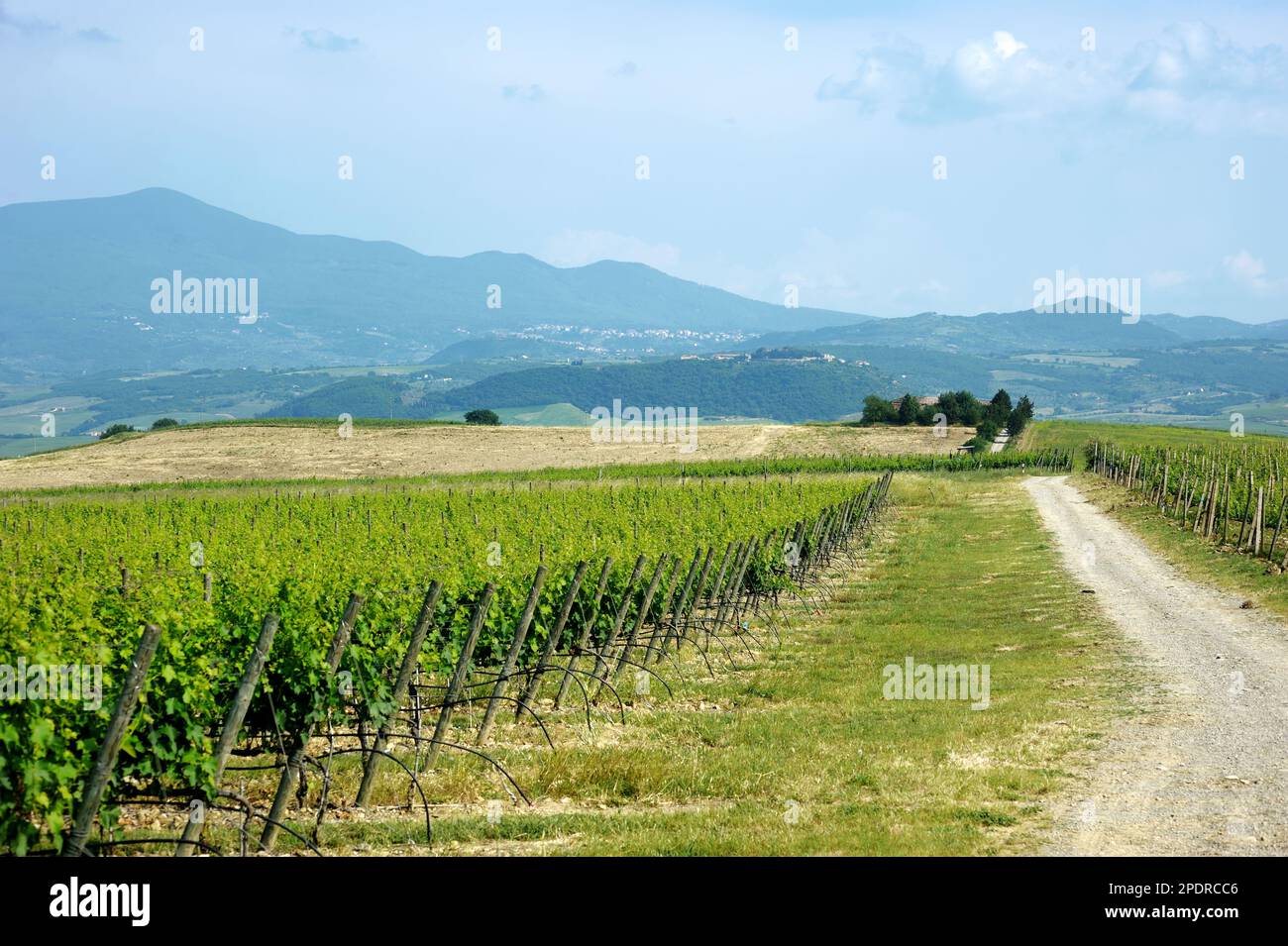 Stunning view of wineyards and farmlands with small villages on the ...