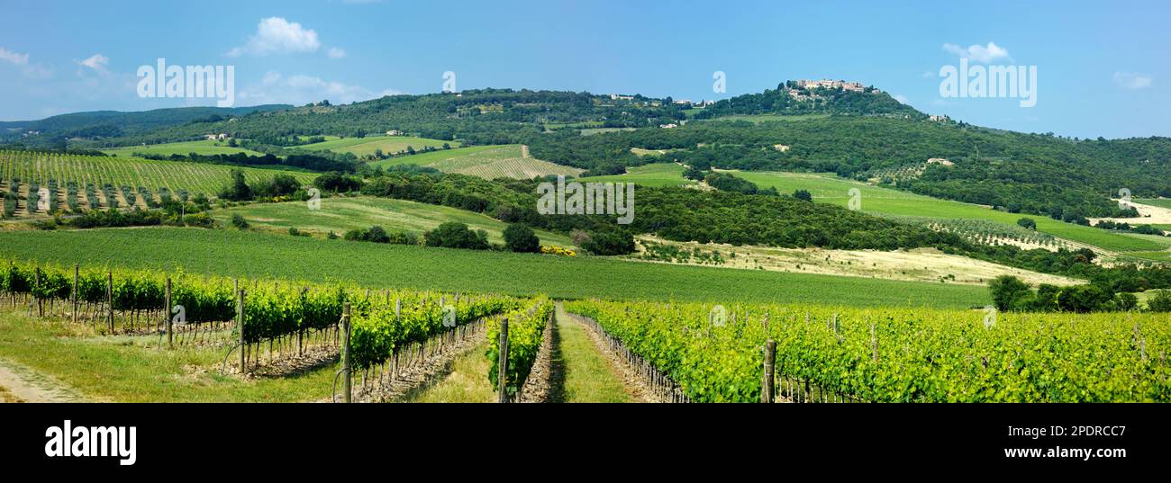 Stunning view of wineyards and farmlands with small villages on the ...
