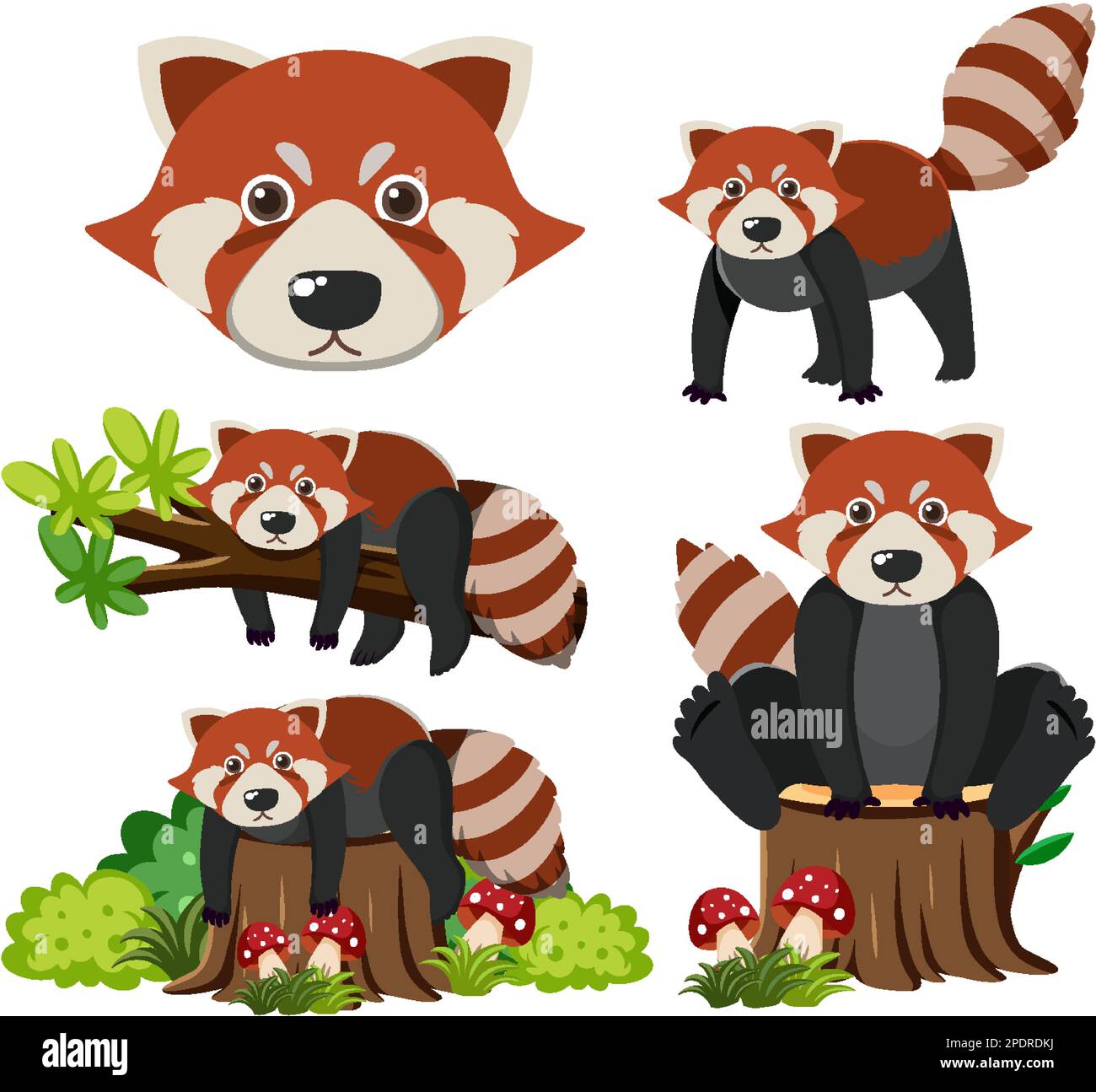 Set of red panda cartoon character illustration Stock Vector Image ...