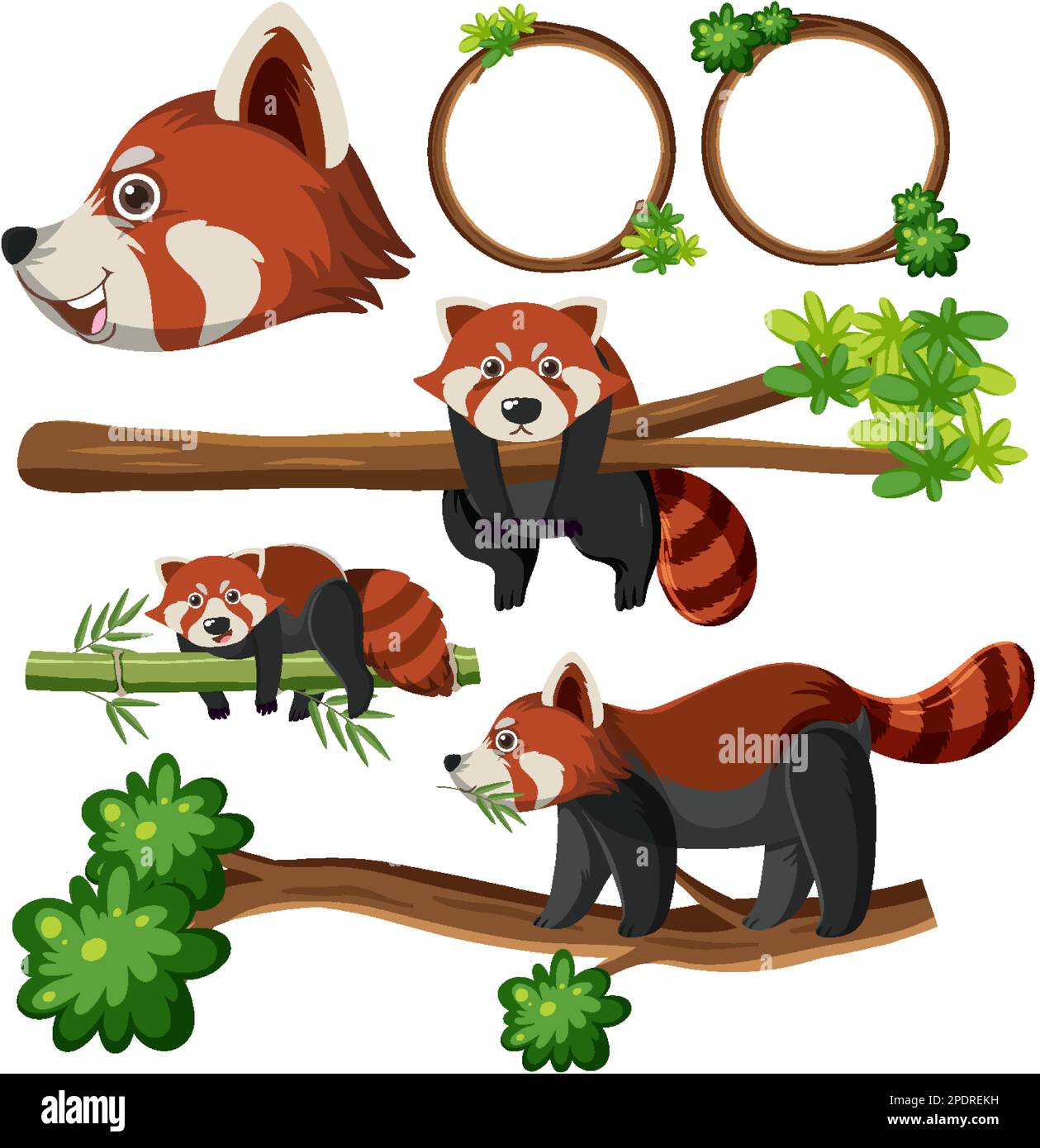 Mix set of red panda illustration Stock Vector Image & Art - Alamy