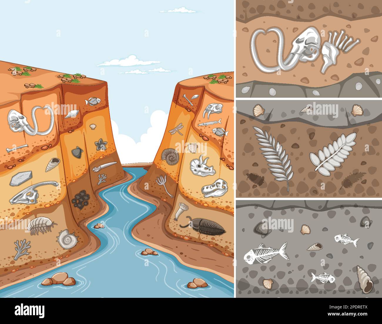 Fossils Geologic Time Scale at Kathleen Sutphin blog Fossils Geologic Time Scale at Kathleen Sutphin blog
