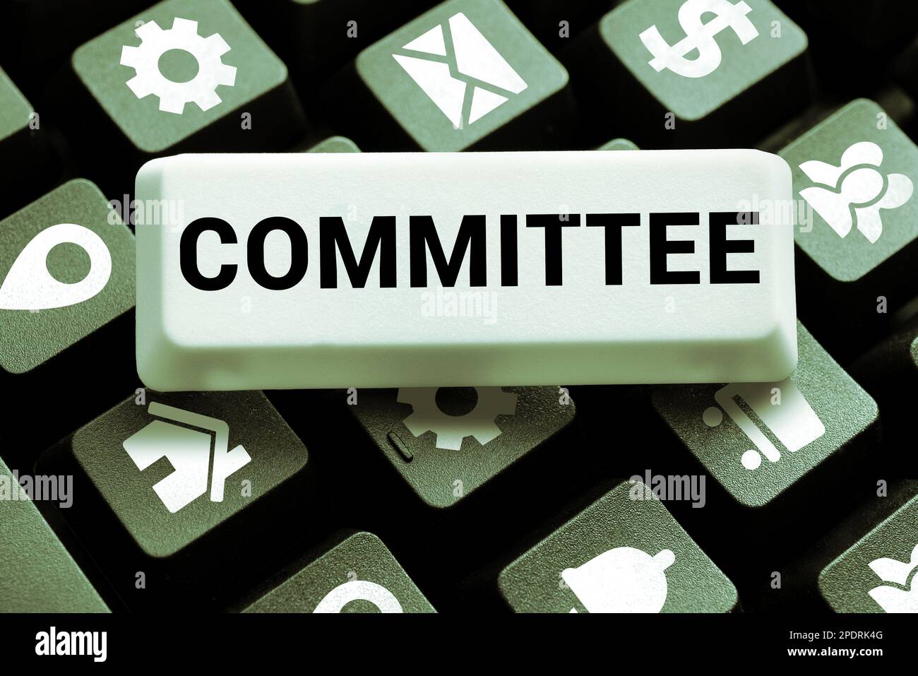 Text sign showing Committee. Business overview Group of people ...