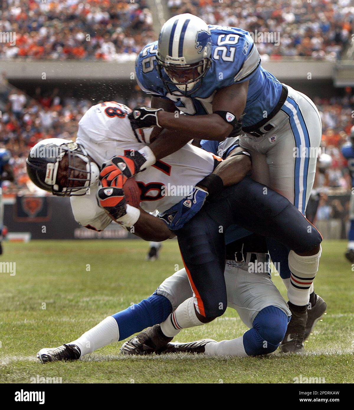 Chicago Bears wide receiver Muhsin Muhammad (87) holds on to the ball ...
