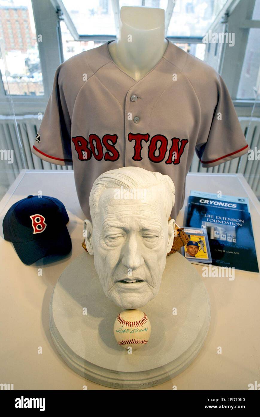 Ted Williams Baseball Player Frozen