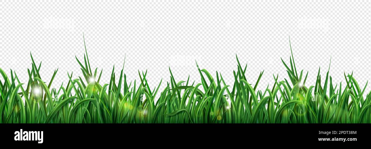 Grass texture overlay Stock Vector Images - Alamy