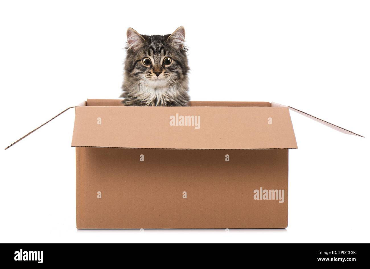 Look out box hi-res stock photography and images - Alamy