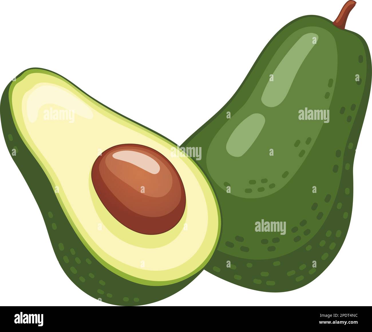Two avocado halves vector illustration Stock Vector Image & Art - Alamy