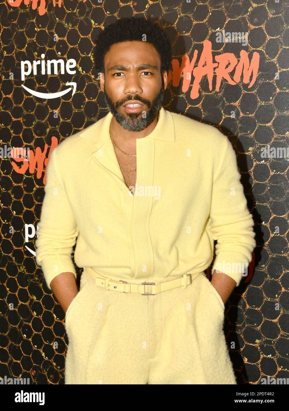 LOS ANGELES, CA - MARCH 14: Donald Glover at the LA premiere of Swarm ...