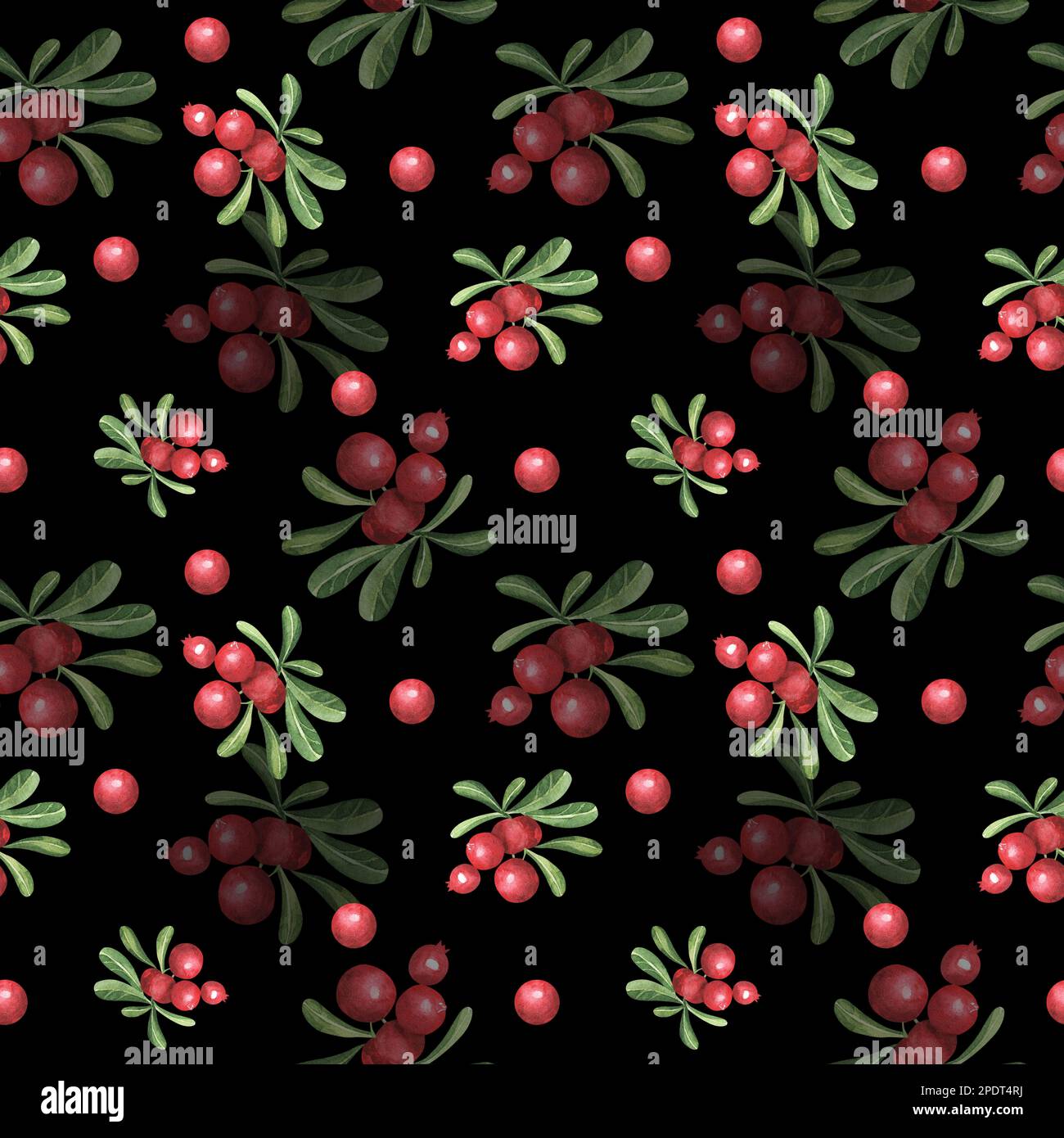 Seamless Pattern with Cranberry. Hand drawn watercolor background with ...