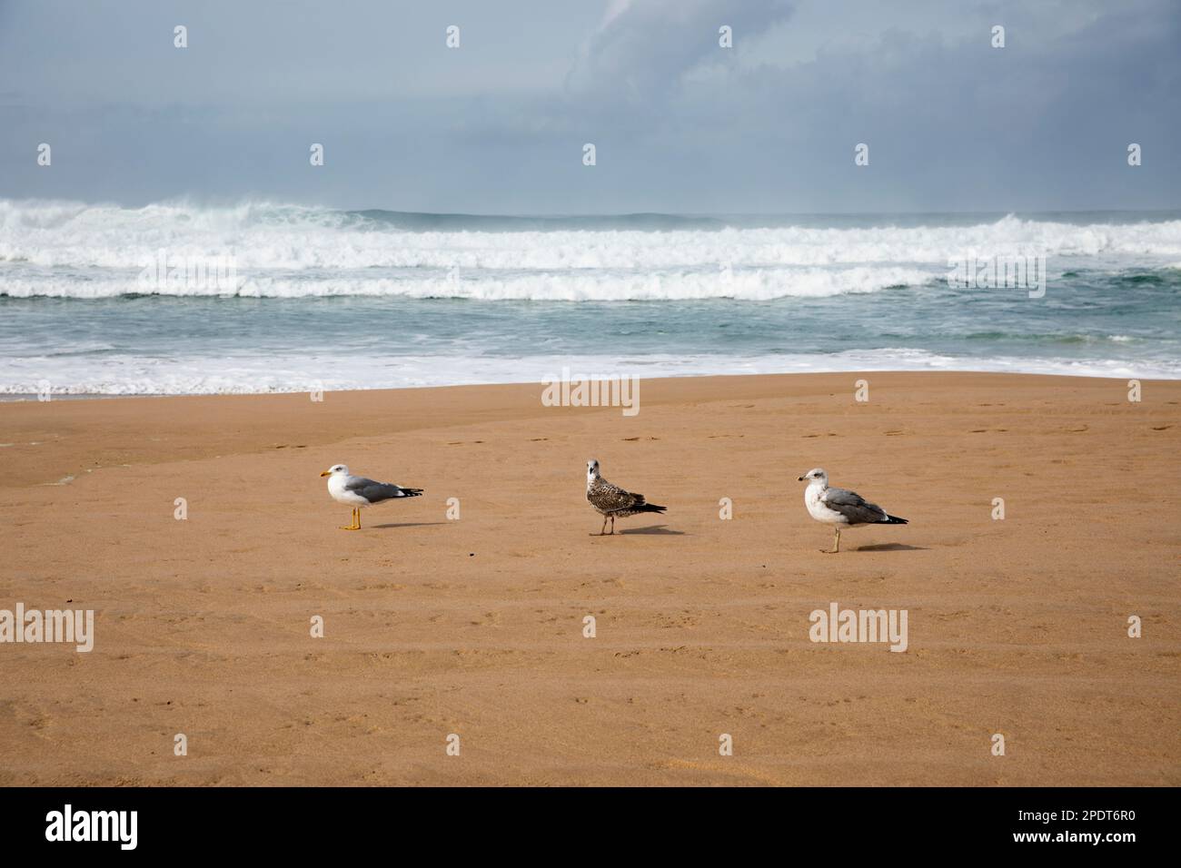Atlantic breaking ocean waves hi-res stock photography and images - Alamy