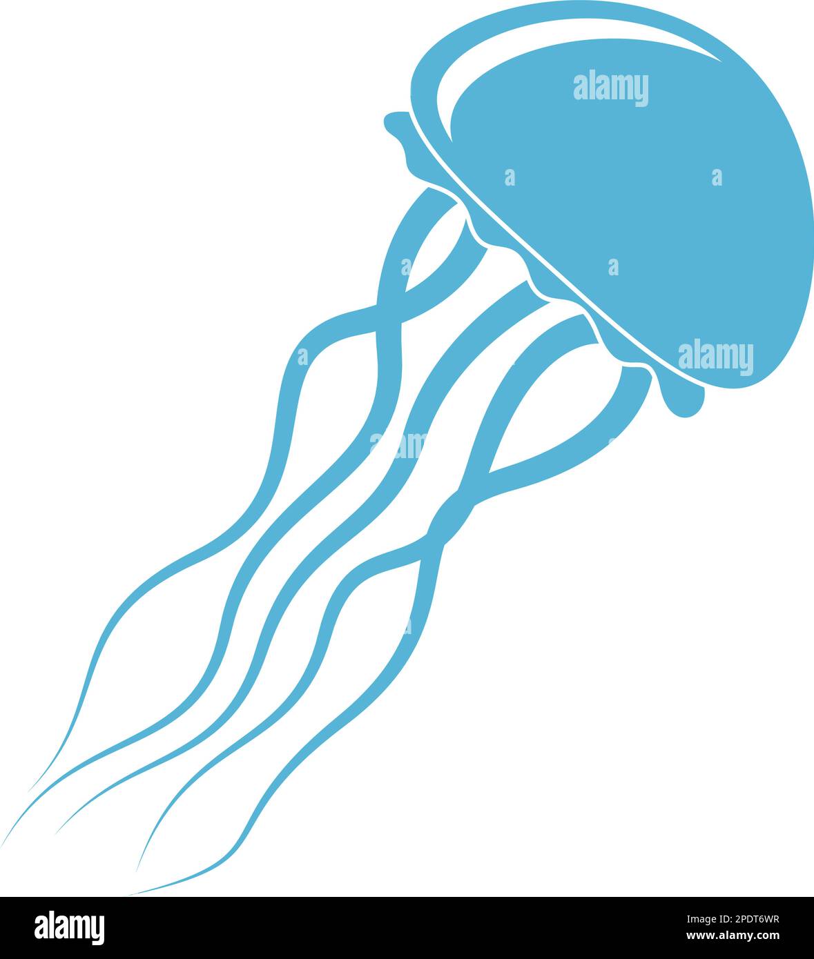 Jellyfish Designs
