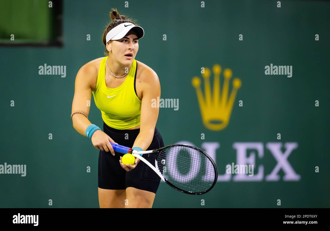 Bianca andreescu bnp open hi-res stock photography and images - Alamy