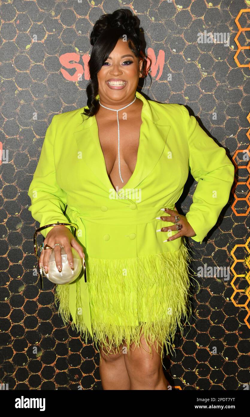 Los Angeles, Ca. 14th Mar, 2023. X Mayo at the LA premiere of Swarm at ...