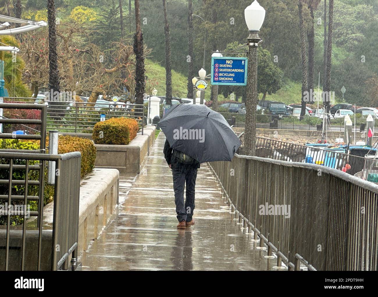 Santa Barbara, California, USA. 14th Mar, 2023. Man with black umbrella ...