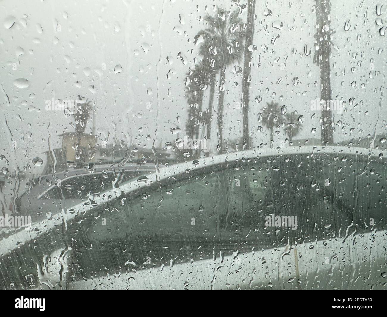 Santa Barbara, California, USA. 14th Mar, 2023. Rain and palm trees ...