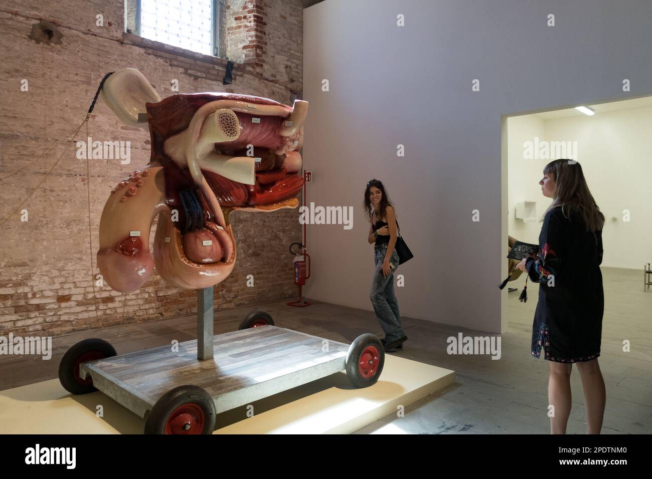 A general view of the artwork Ability and Necessity by German artist ...