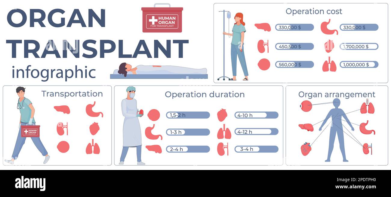 Organ transplant flat set of infographic compositions with internal ...