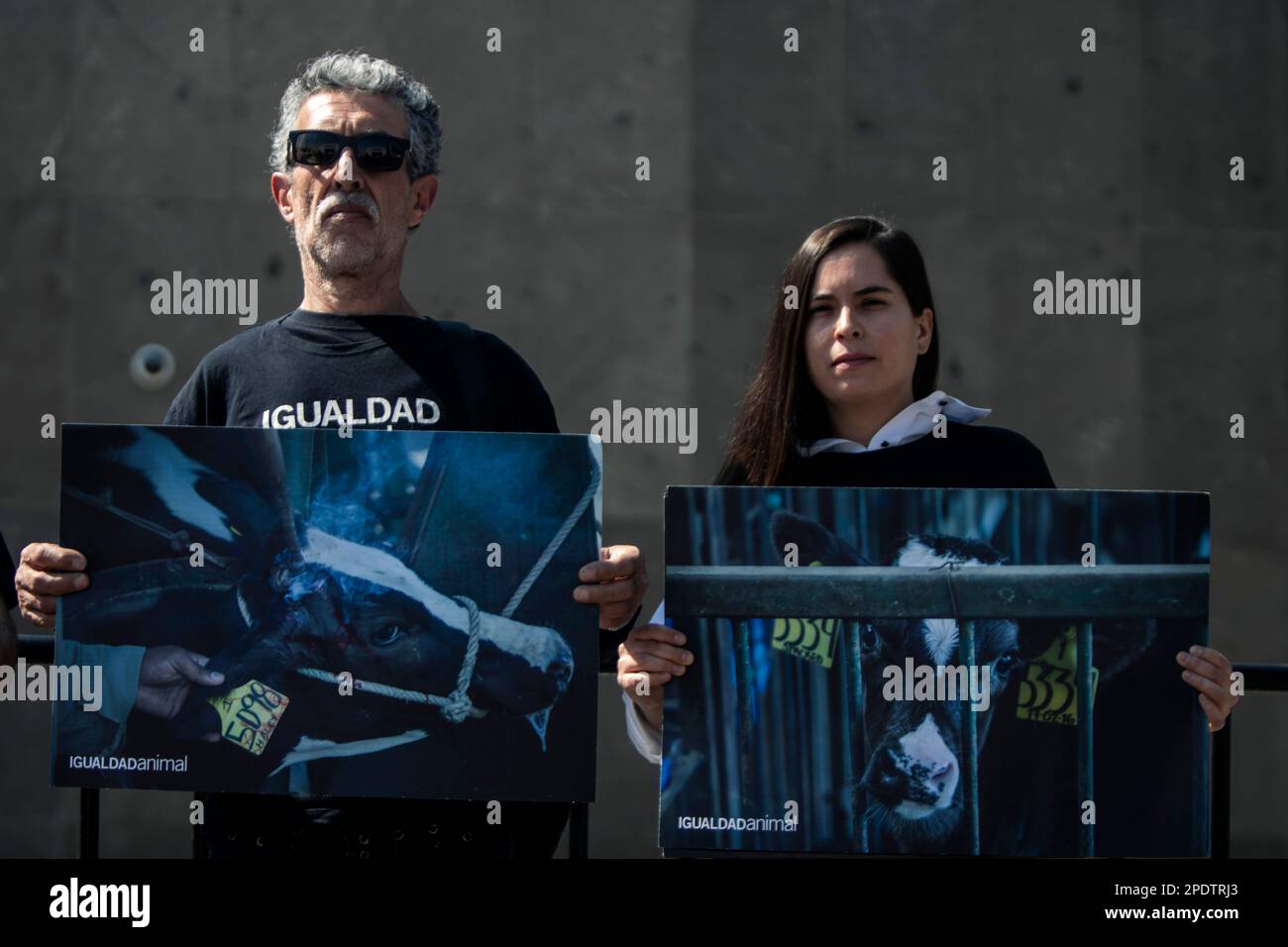 Members of the international organization "Animal Equality, holding ...