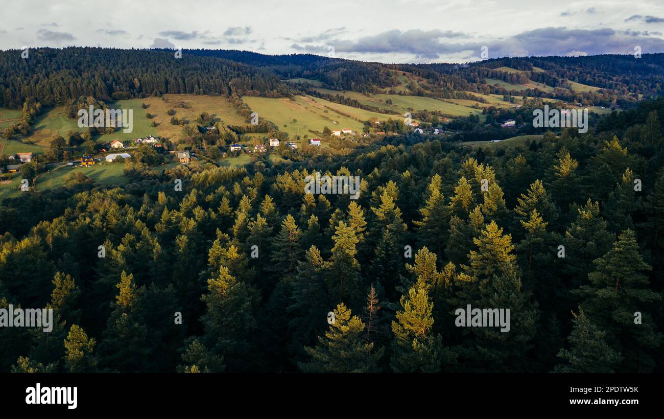 Aerial view of the forest in the Bieszczady mountains in Poland Stock ...