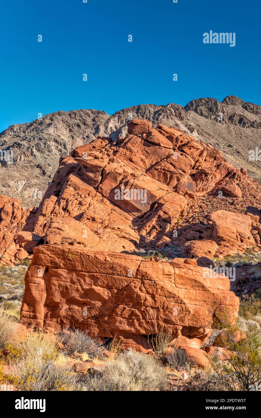 Aztec sandstone rock formations at Redstone Trail, Redstone Petrified ...