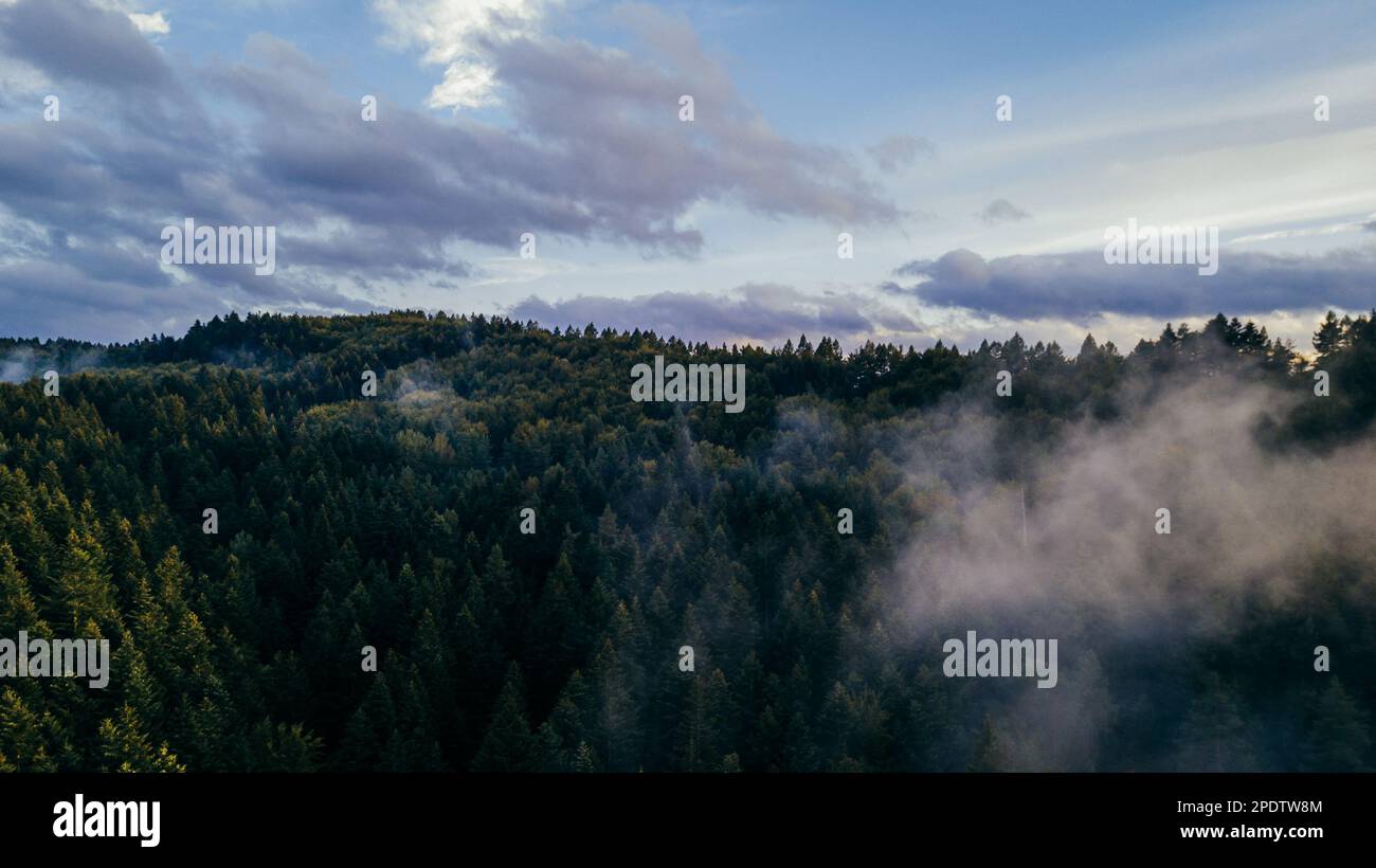 Aerial view of the forest in the Bieszczady mountains in Poland Stock ...