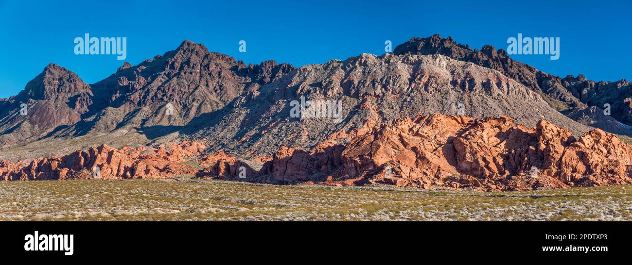 Redstone Petrified Dunes, Black Mtns, Aztec sandstone, shale, volcanic ...