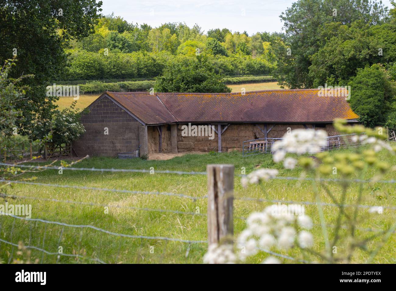 Old hay barn with trees behind and blurred fence in foreground Stock ...