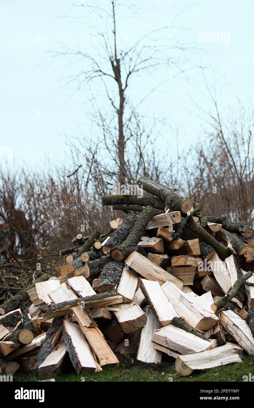 Stack of freshly split wood Stock Photo - Alamy