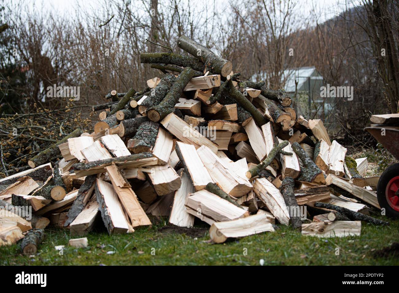 Stack of freshly split wood Stock Photo - Alamy