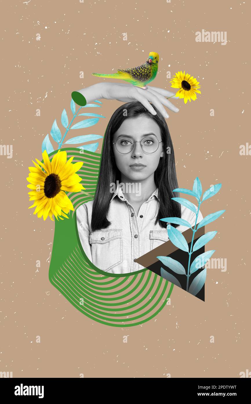 Poster collage of young confident attractive eco activist lady support ...