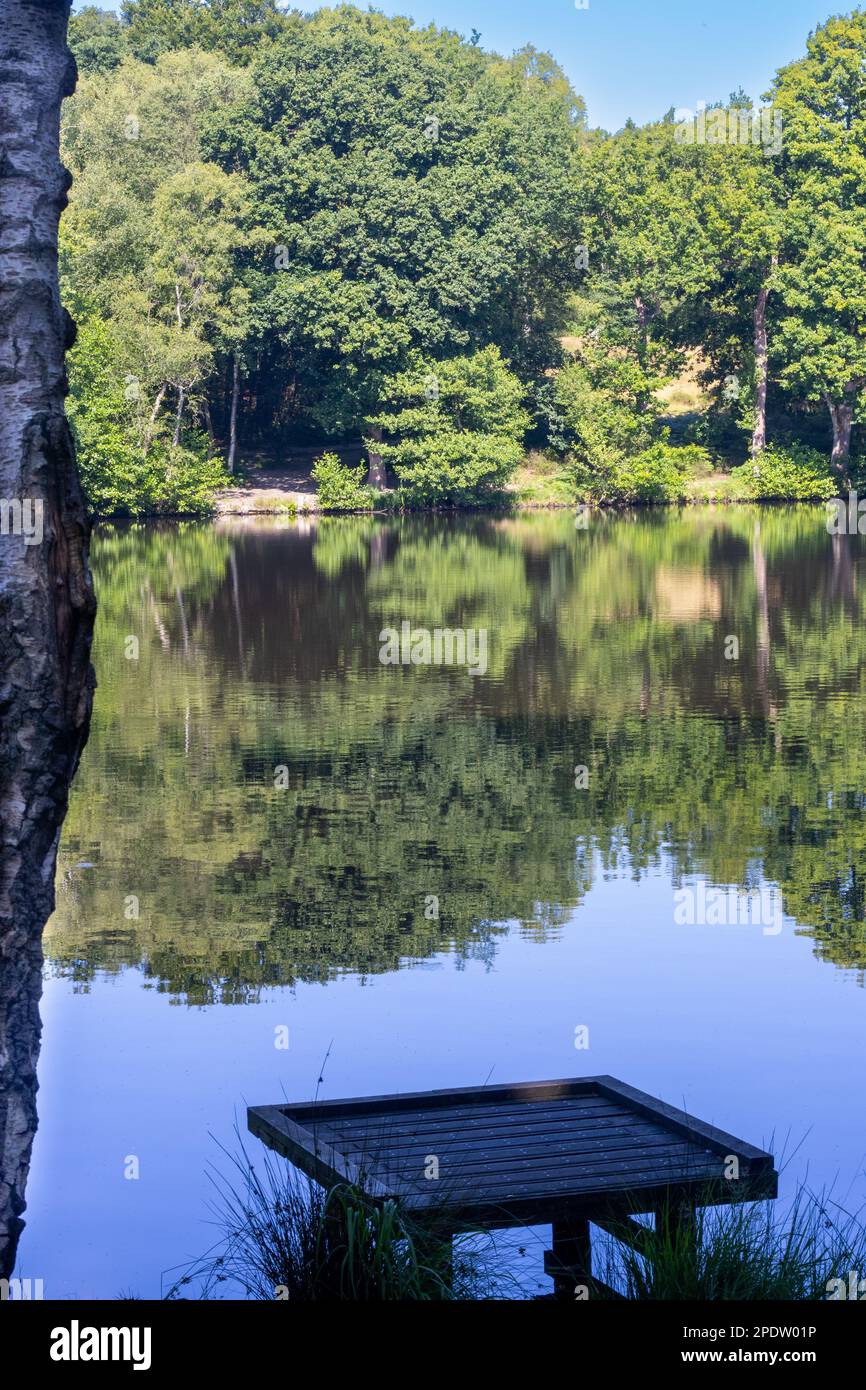 Douster pond hi-res stock photography and images - Alamy