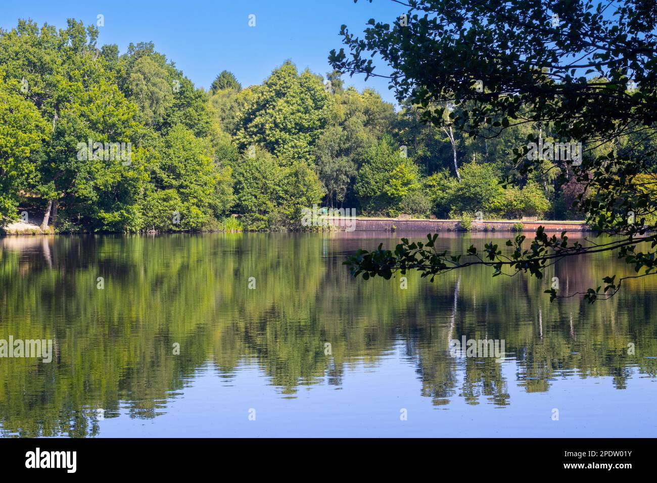 Buchan park uk hi-res stock photography and images - Alamy
