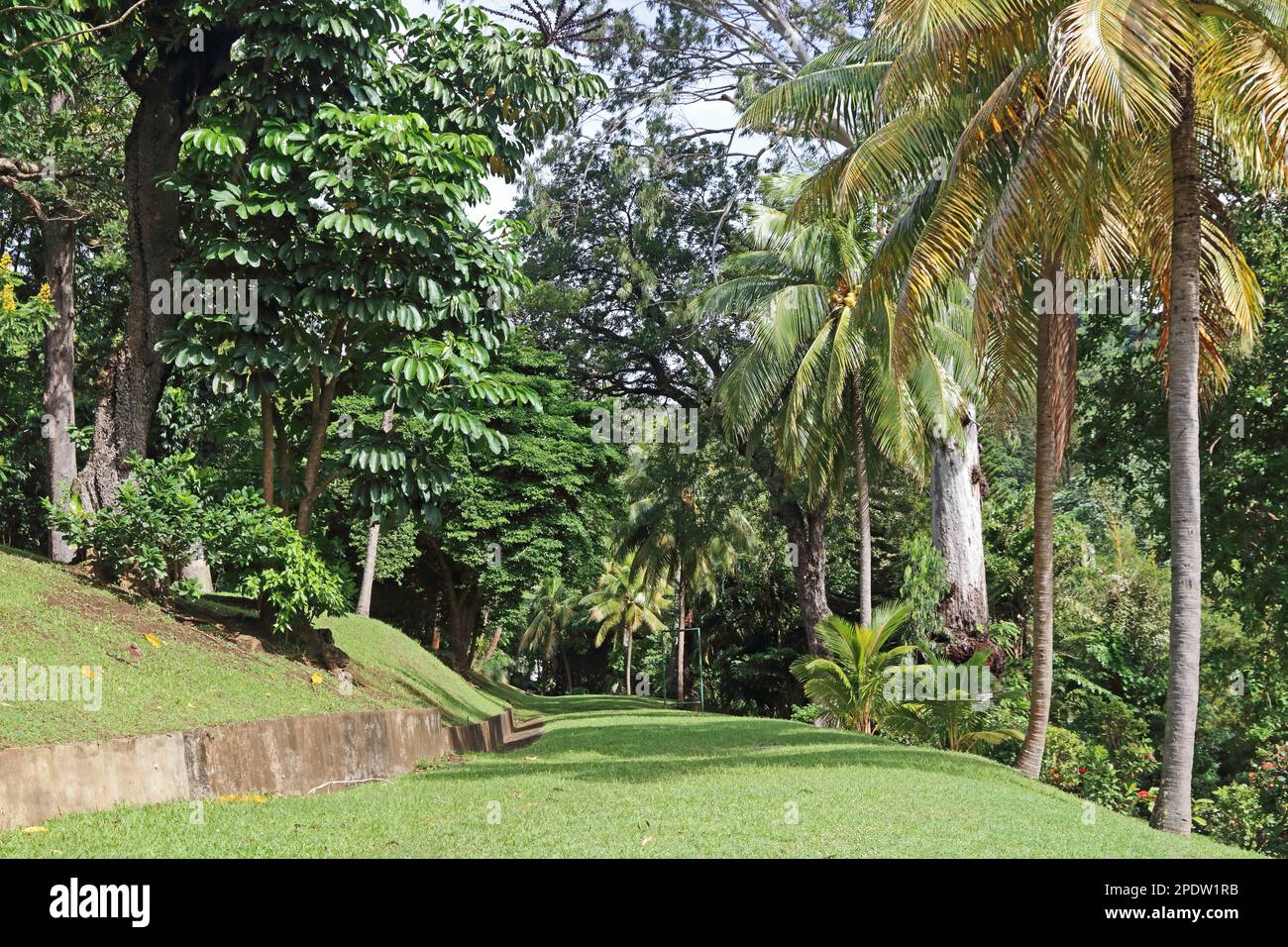 Kingstown st. vincent hi-res stock photography and images - Alamy