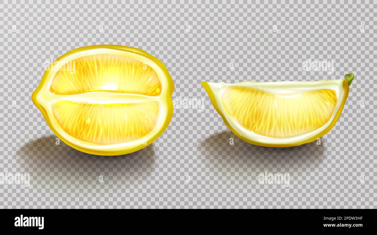 Lemon, sliced citrus realistic vector illustration. Half lemon and ...