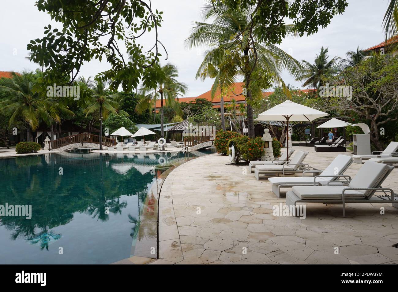 Calm blue Swimming Pool with coconut tree on blue tile for background ...