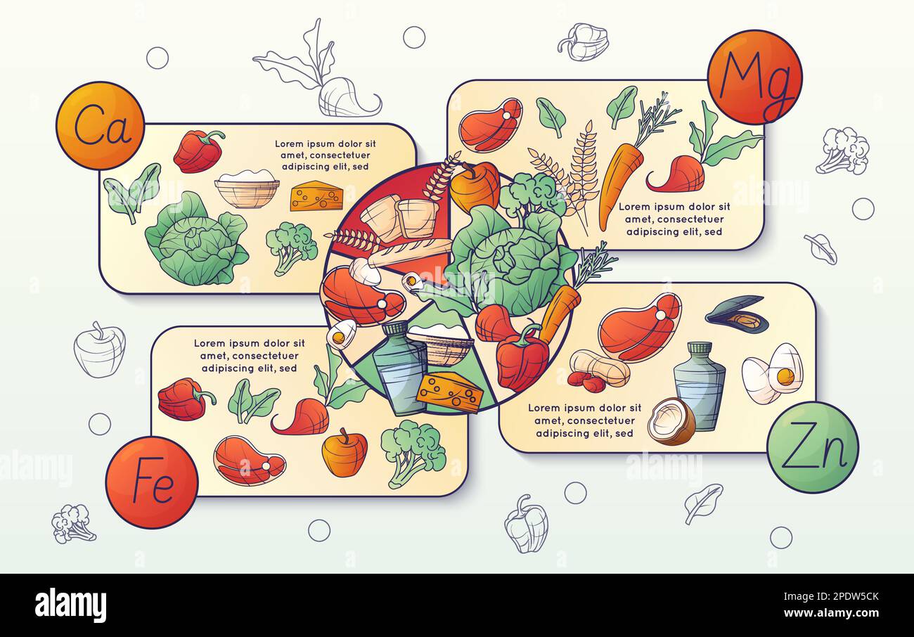 Dietology nutritionist dietitian infographics with round nutrition ...