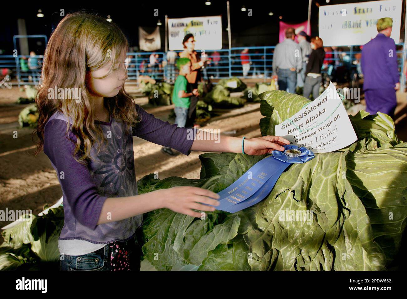 Ten-year-old Brenna Dinkel puts the blue ribbon on her 85 pound cabbage ...