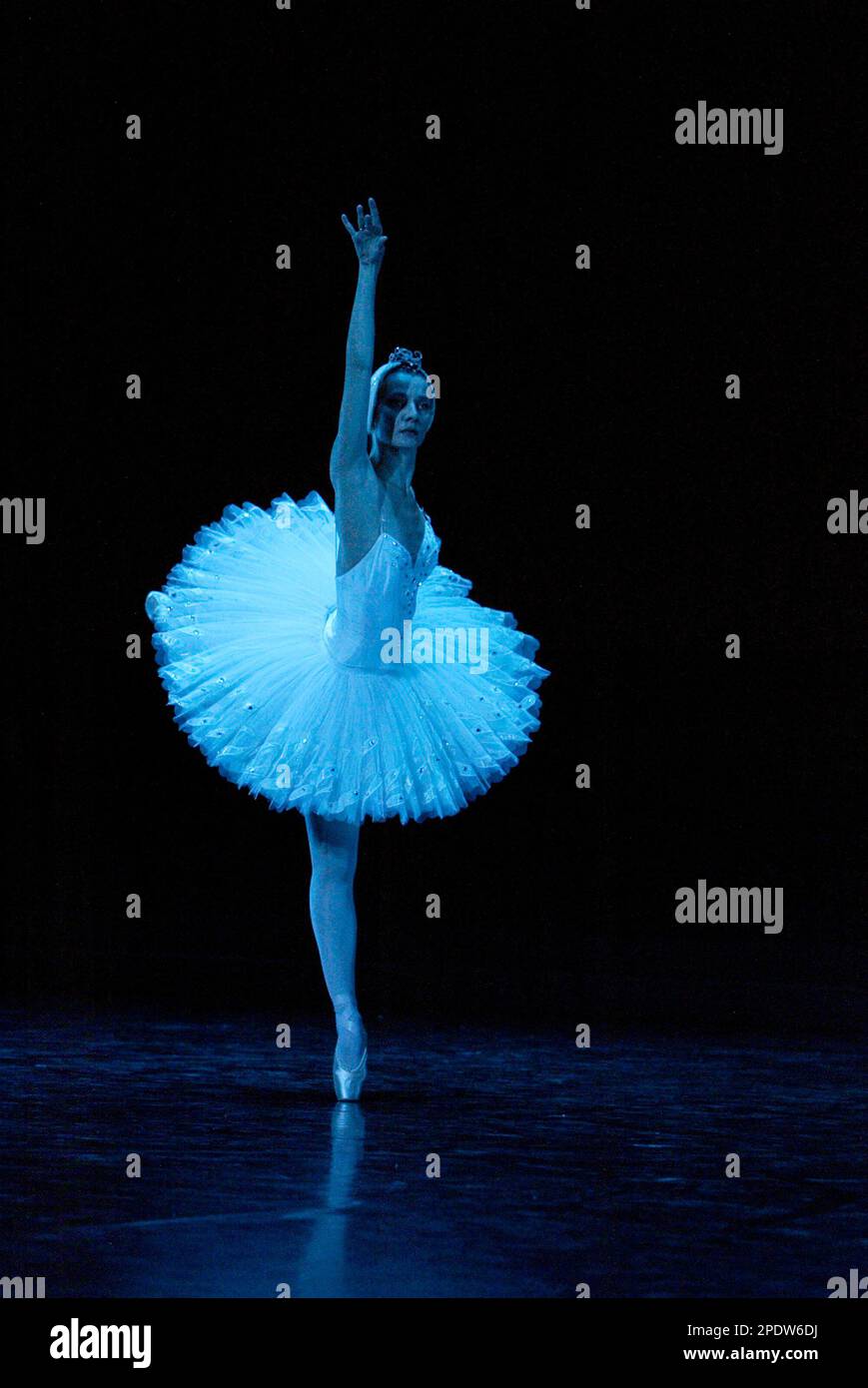 Showbiz swan lake hi-res stock photography and images - Alamy