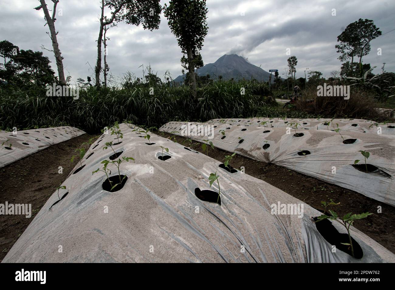 Boyolali, Indonesia. 15th Mar, 2023. Volcanic materials are seen in a ...